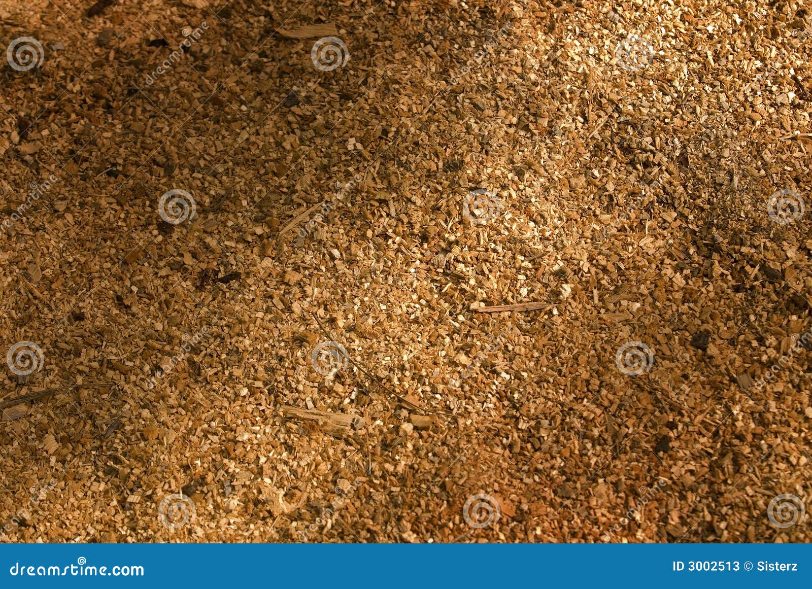 Sawdust texture stock image. Image of mill, wood, chips - 3002513