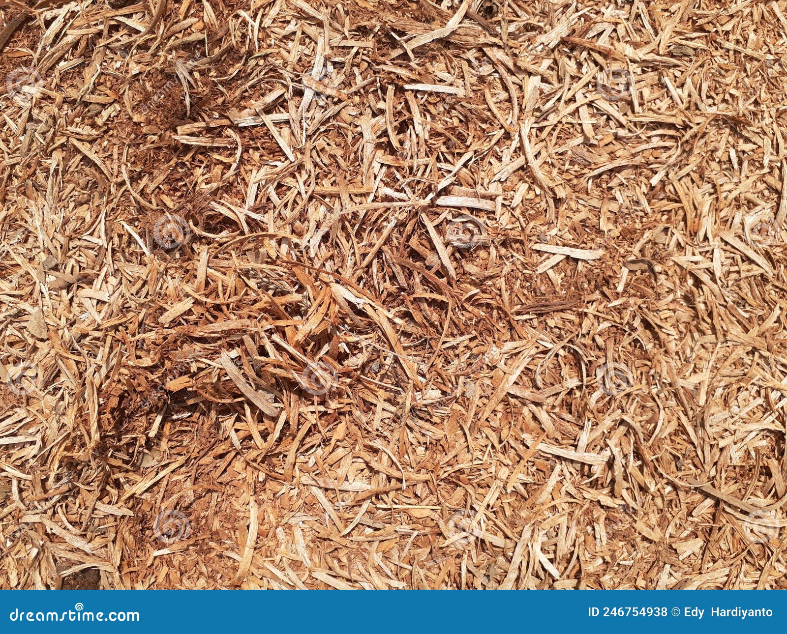 Close Up of Sawdust or Wood Dust Texture Background Stock Photo - Image ...
