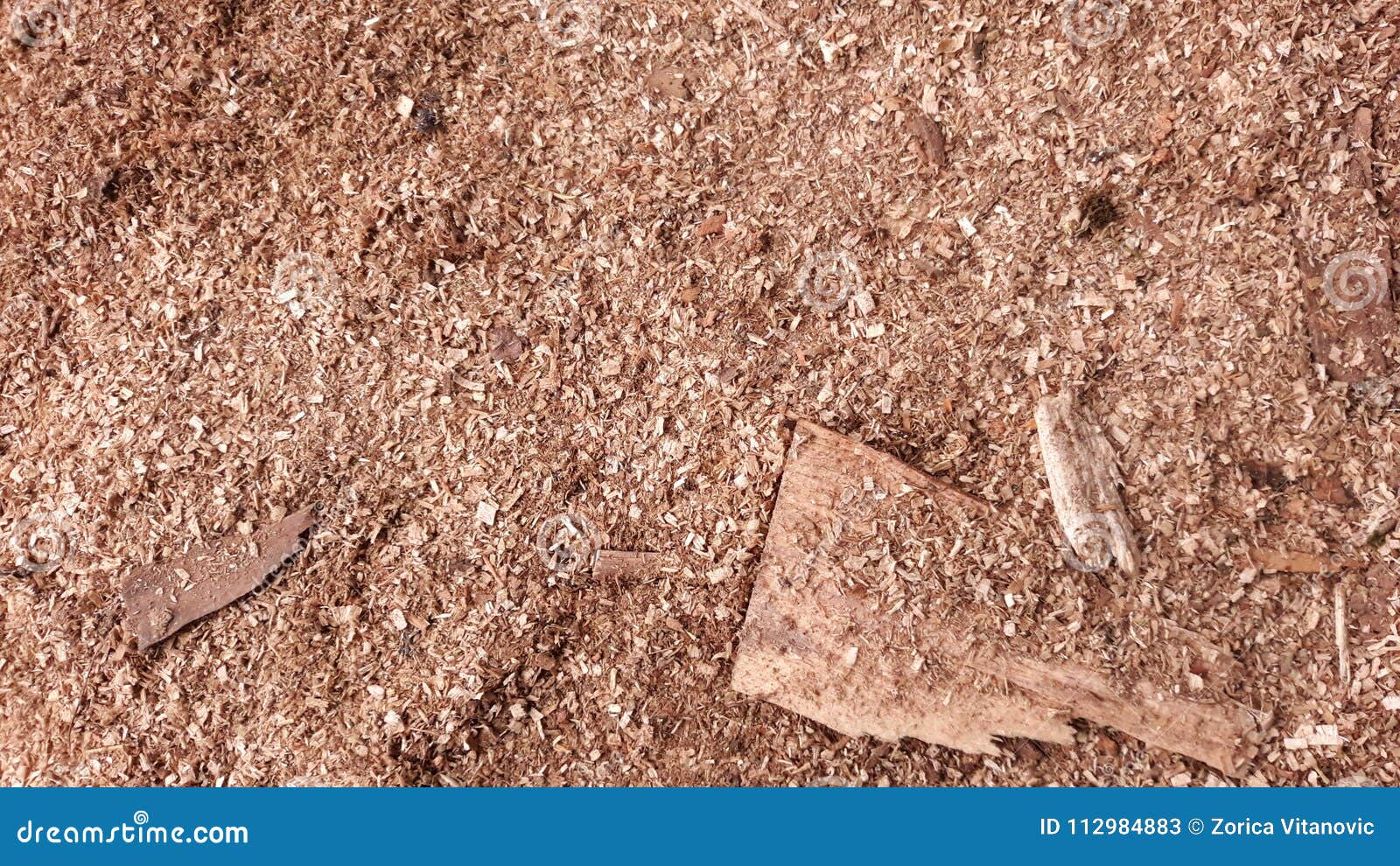 Sawdust texture stock image. Image of sawdust, wood - 112984883
