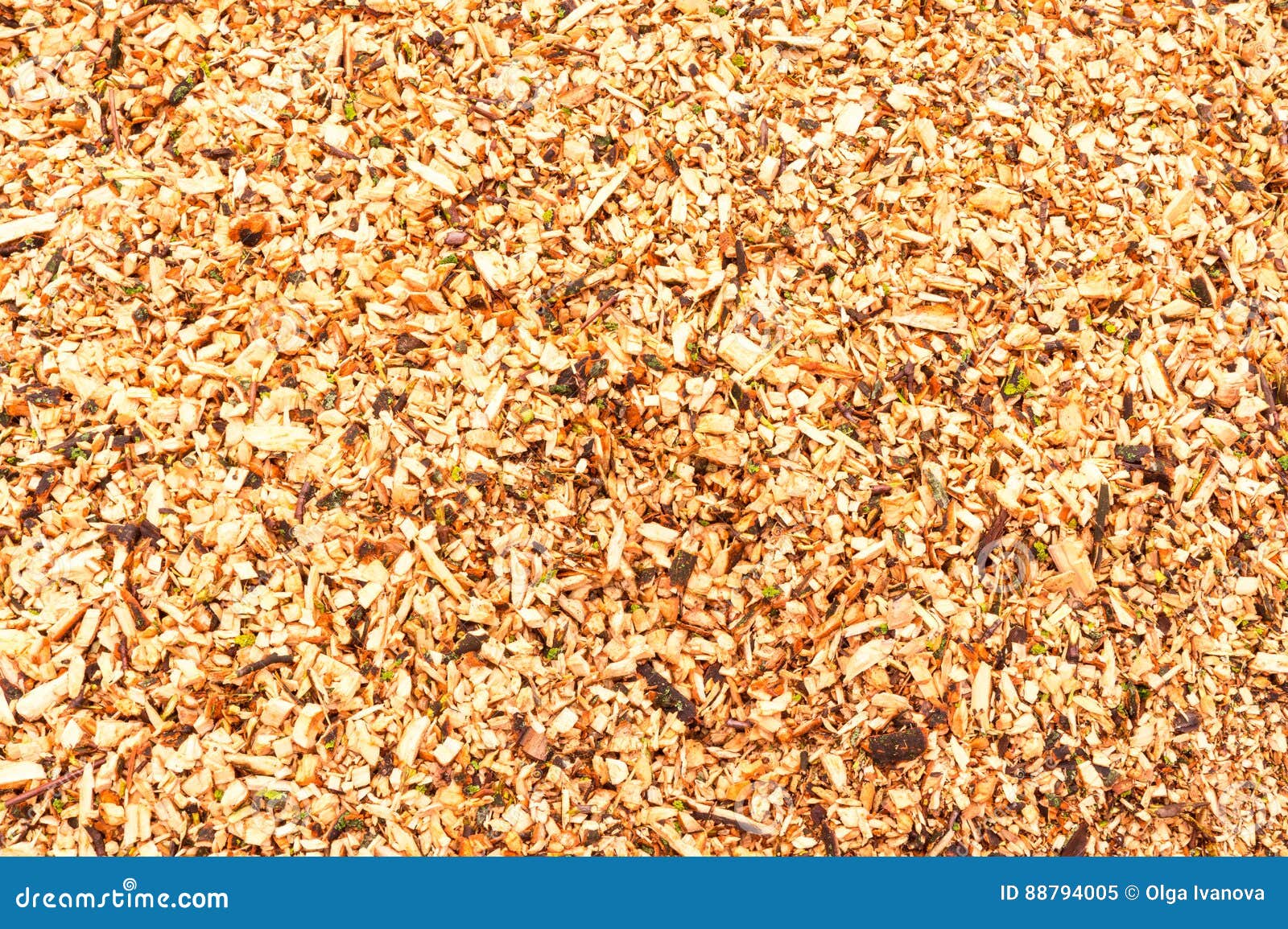 Sawdust stock image. Image of carpenter, woody, nature - 88794005