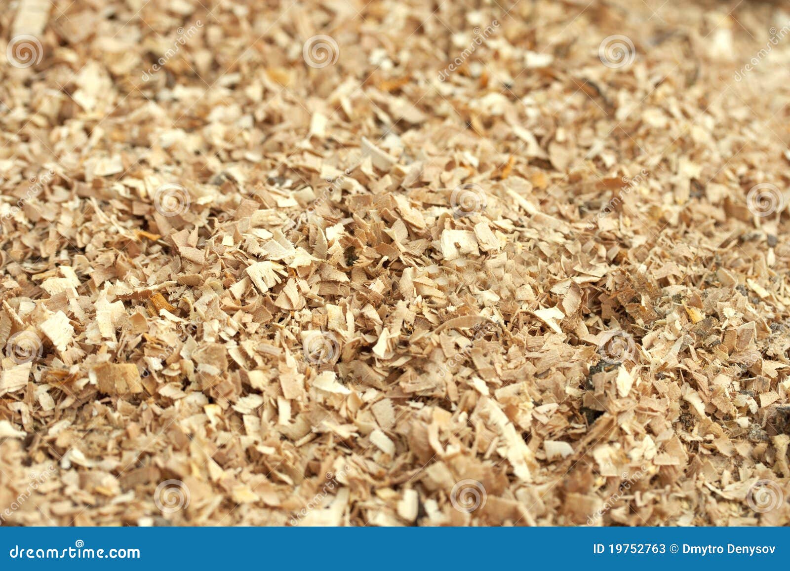 Sawdust wood stock image. Image of preparation, breed - 19752763