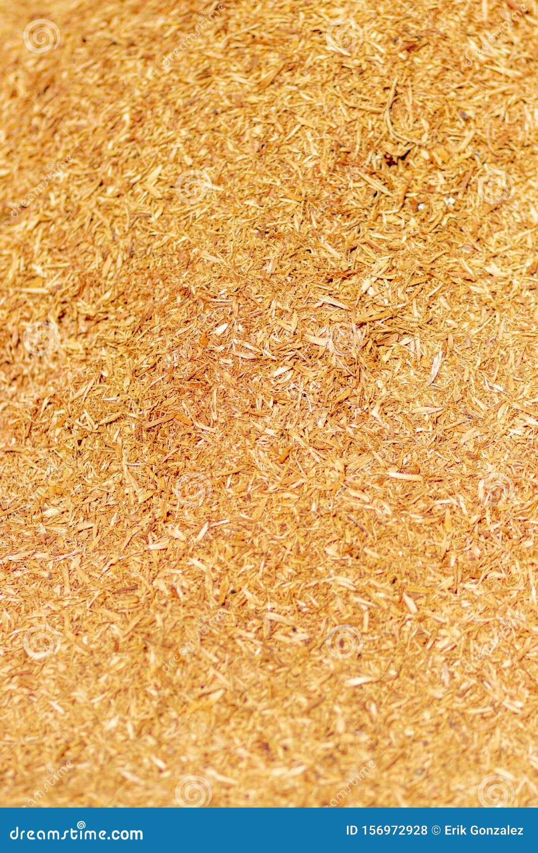 Sawdust or Wood Dust Texture Background Stock Photo - Image of industry ...