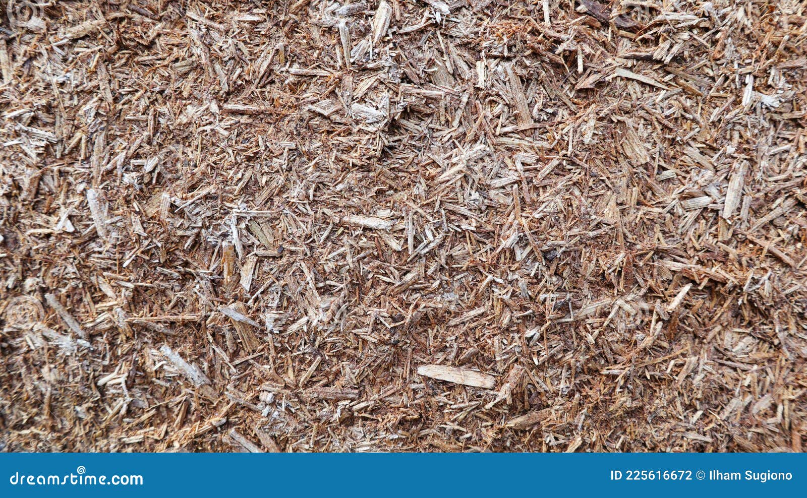 Sawdust Or Wood Dust Texture Background Royalty-Free Stock Image ...
