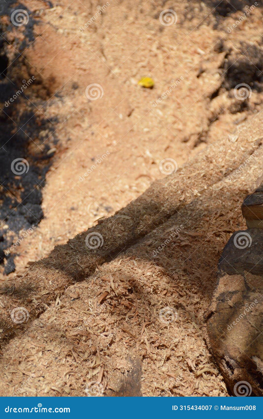 Sawdust or Wood Dust Texture on the Ground Stock Image - Image of ...