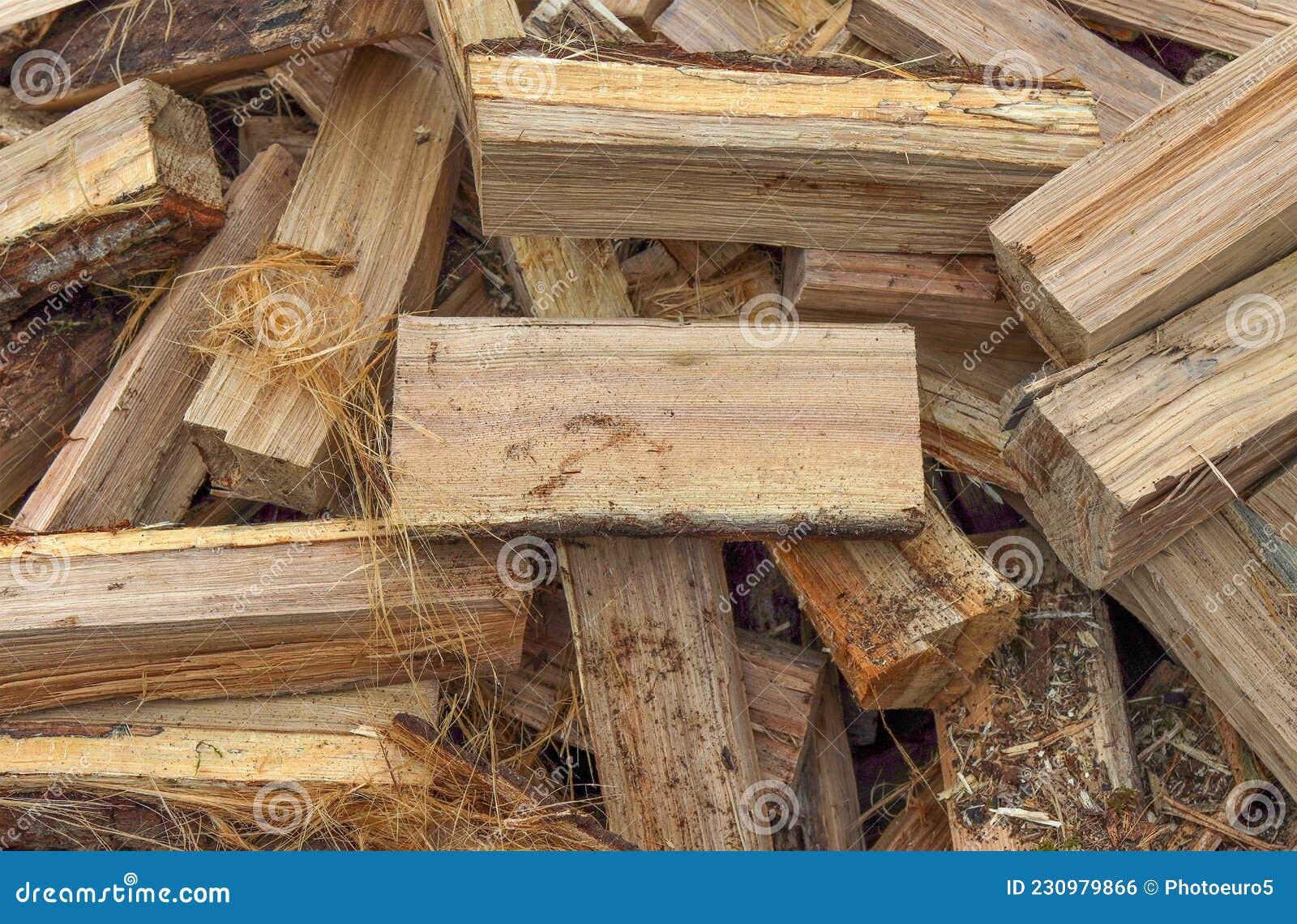 Sawed and Chopped Oak Firewood Stock Photo - Image of sawn, wood: 230979866