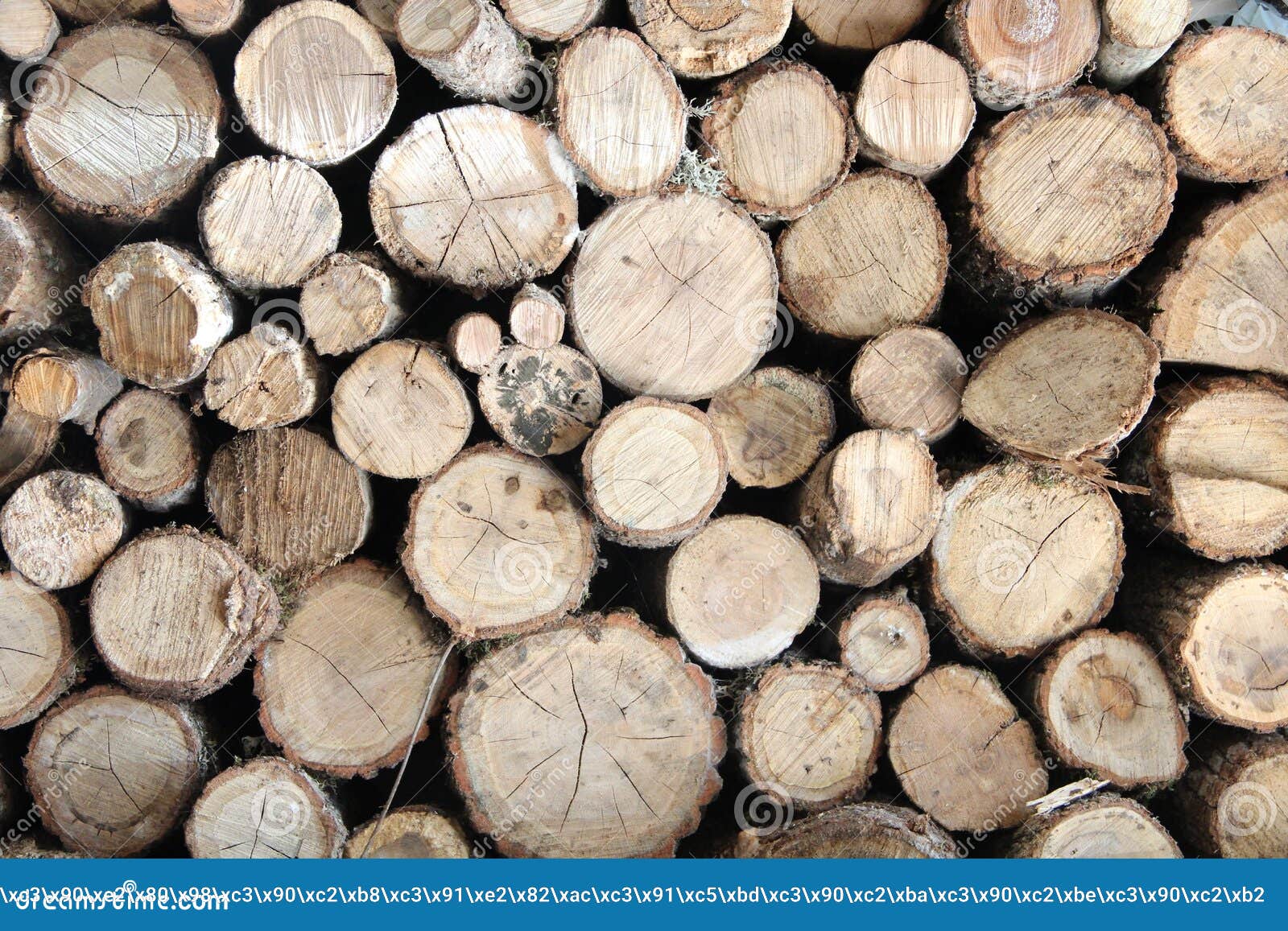 The sawed fire wood stock image. Image of sawed, wood - 54645699