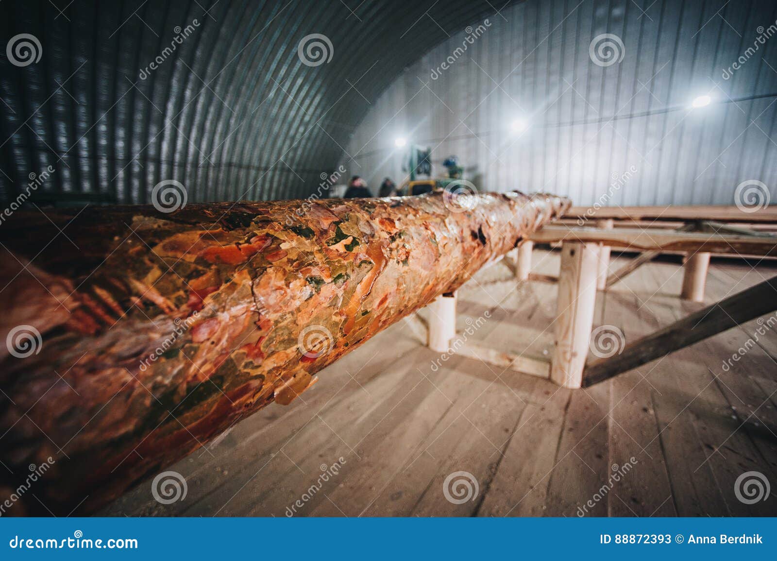 Sawed Oak Tree Trunk. Cross Section of the Timber Stock Image - Image ...