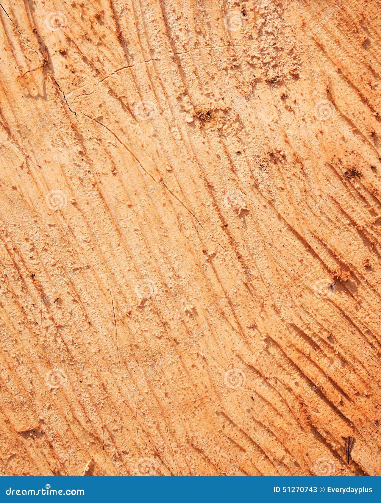 Sawed wood surface stock image. Image of sawed, timber - 51270743