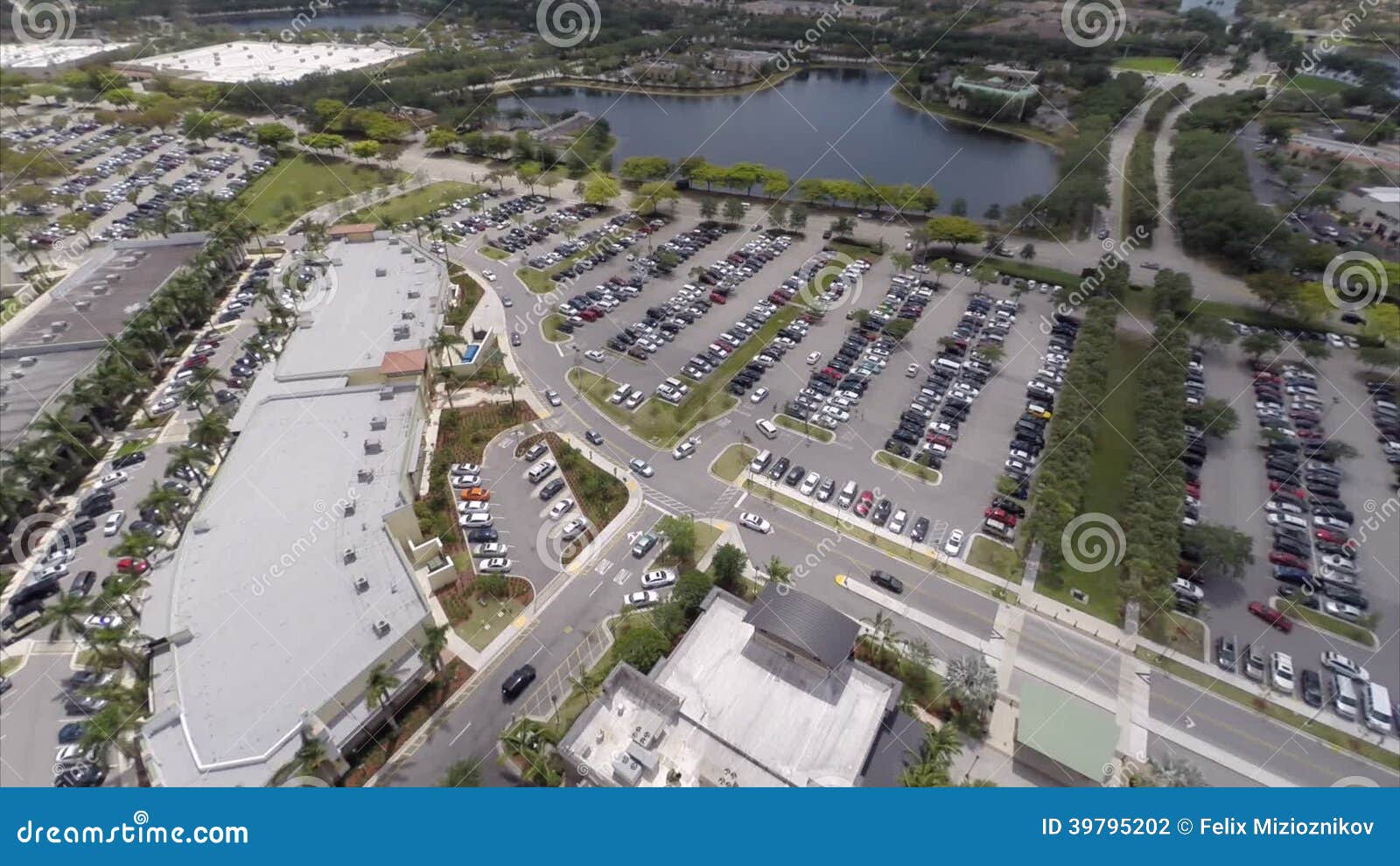 Sawgrass Stock Footage & Videos - 28 Stock Videos