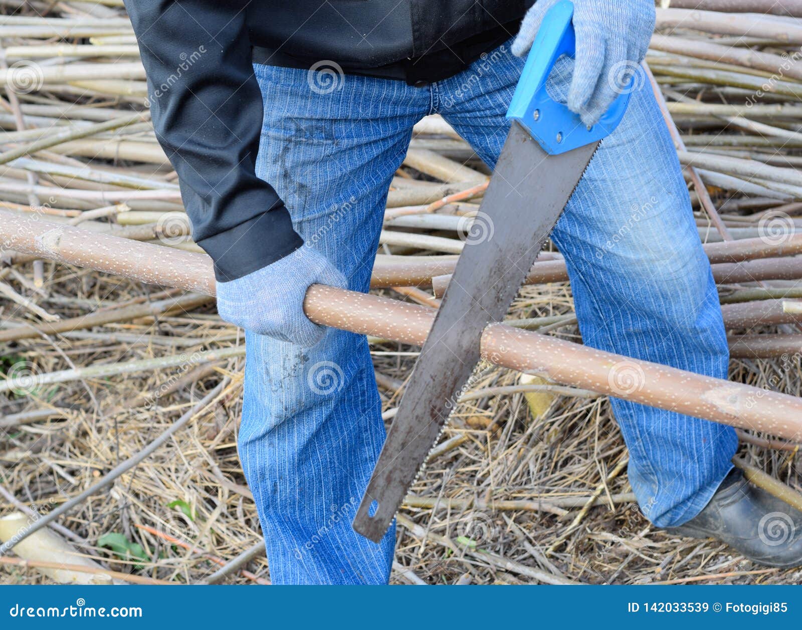 Sawing with a Hand Saw of a Wood Branch Stock Image - Image of estate ...