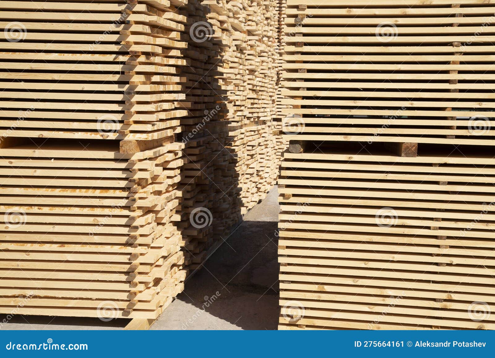 Sawing Logs into Boards.Timber Products Warehouse on a Specialized Site ...