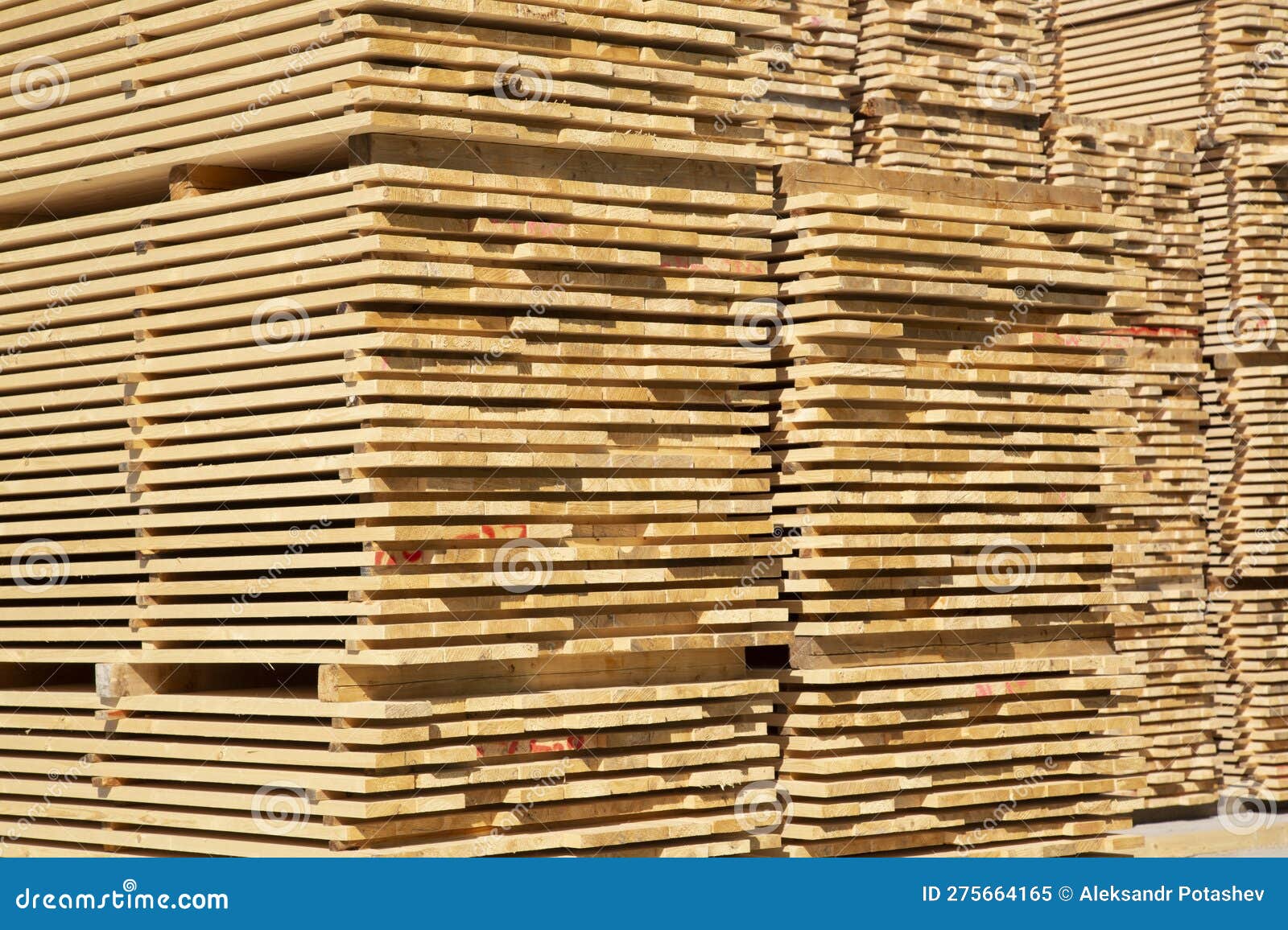 Sawing Logs into Boards.Timber Products Warehouse on a Specialized Site ...