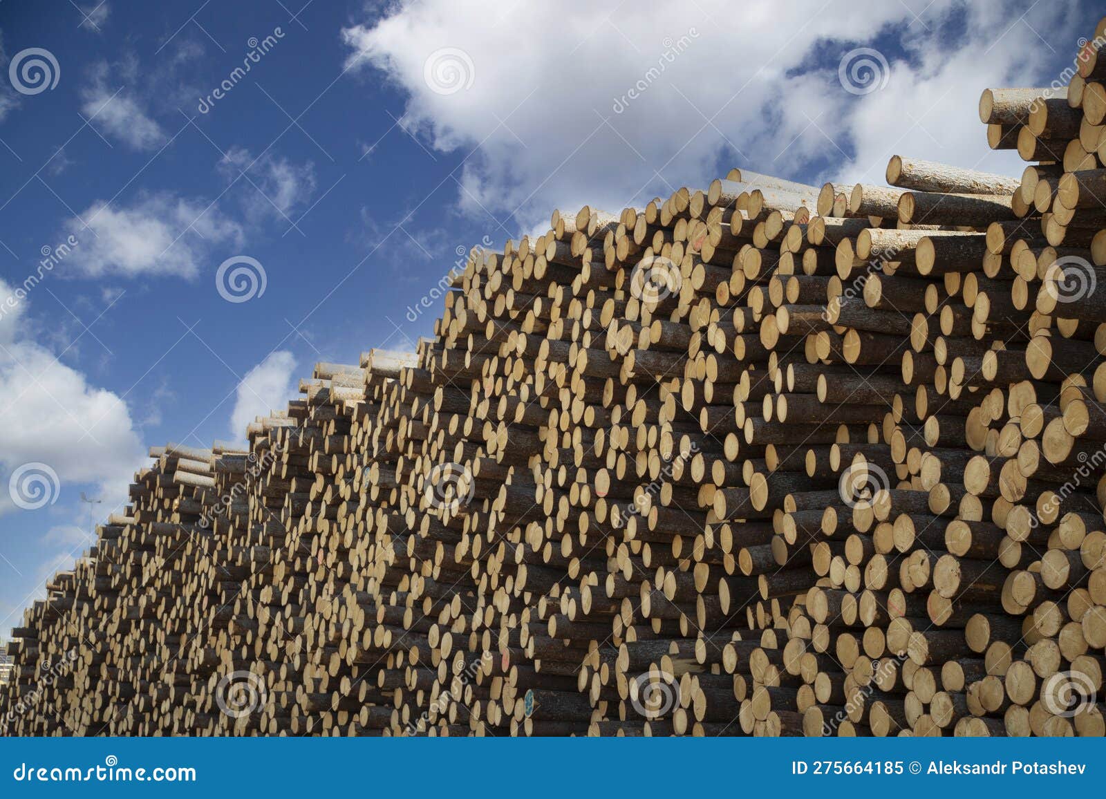 Sawing Logs into Boards.Timber Products Warehouse on a Specialized Site ...