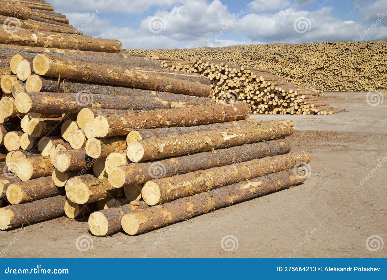 Sawing Logs into Boards.Timber Products Warehouse on a Specialized Site ...