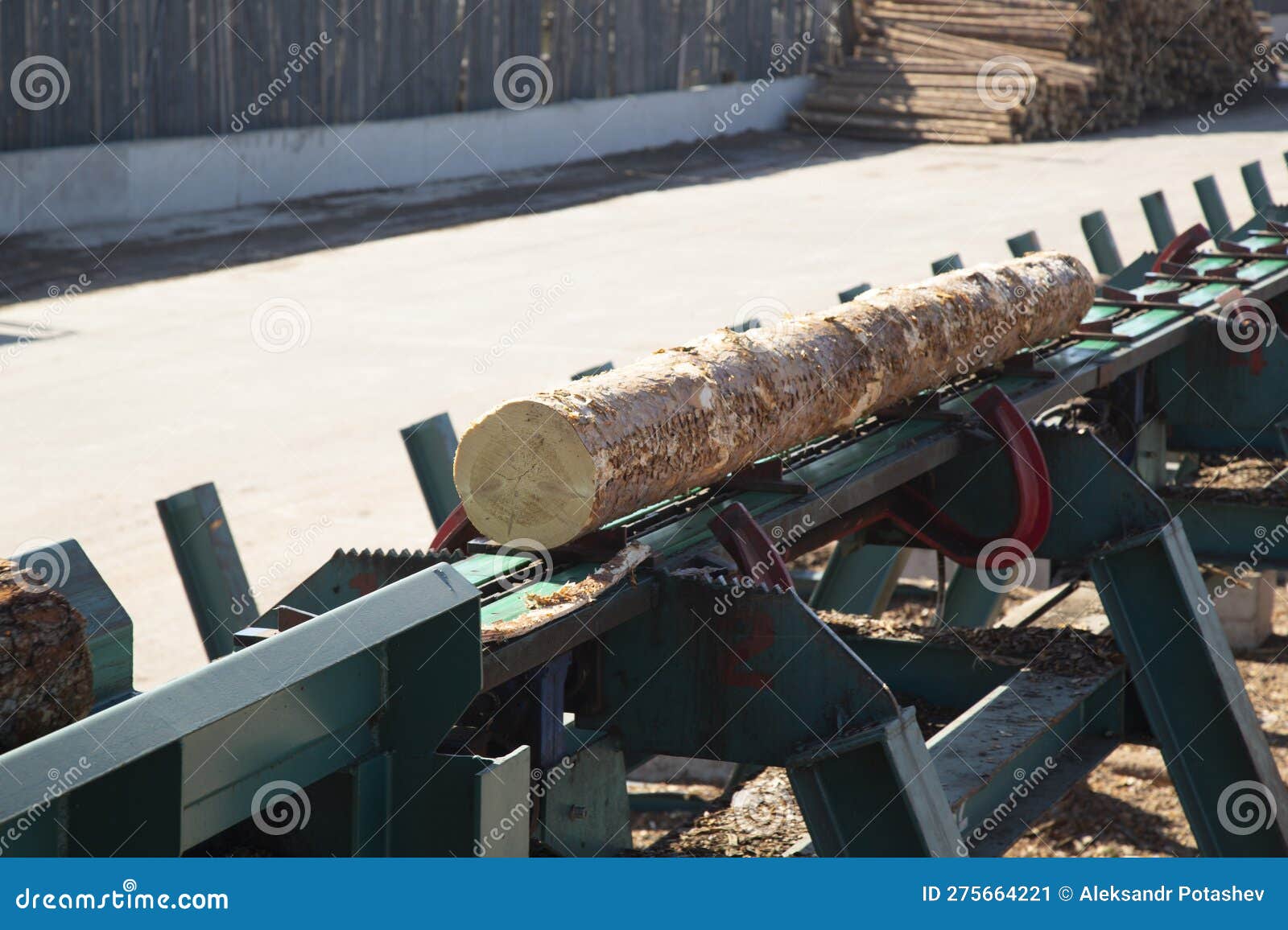 Sawing Logs into Boards.Timber Products Warehouse on a Specialized Site ...