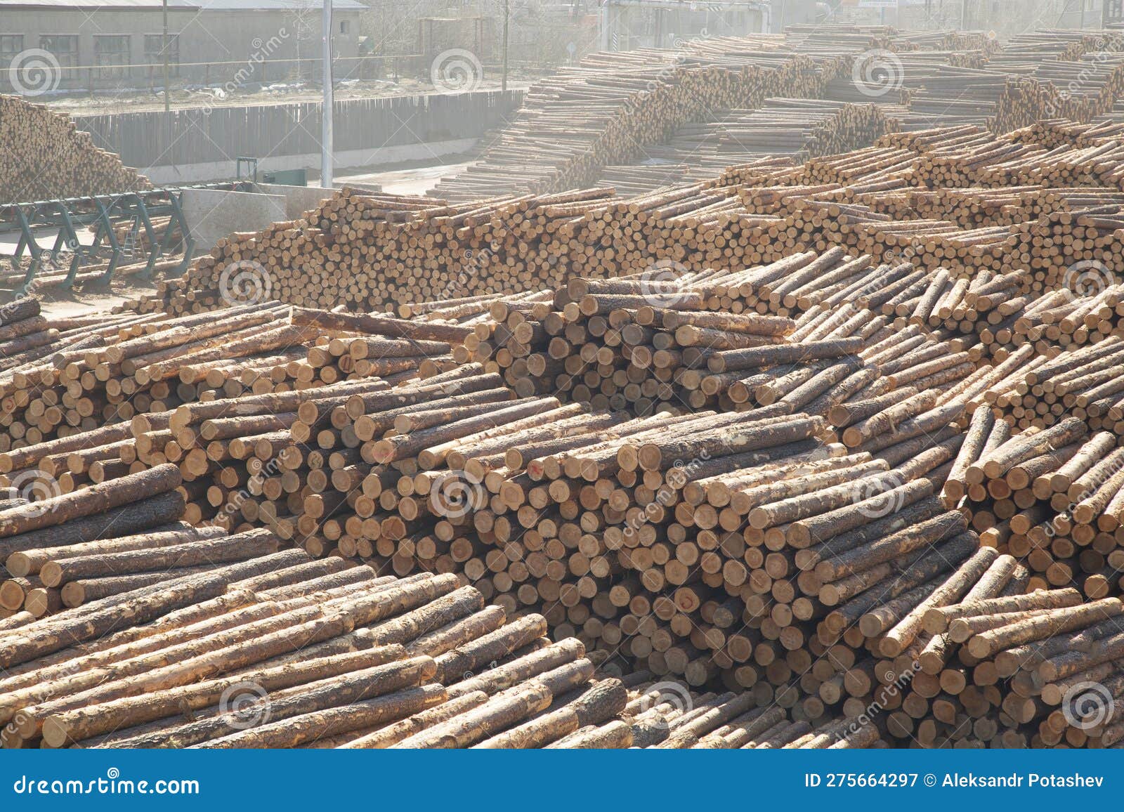 Sawing Logs into Boards.Timber Products Warehouse on a Specialized Site ...