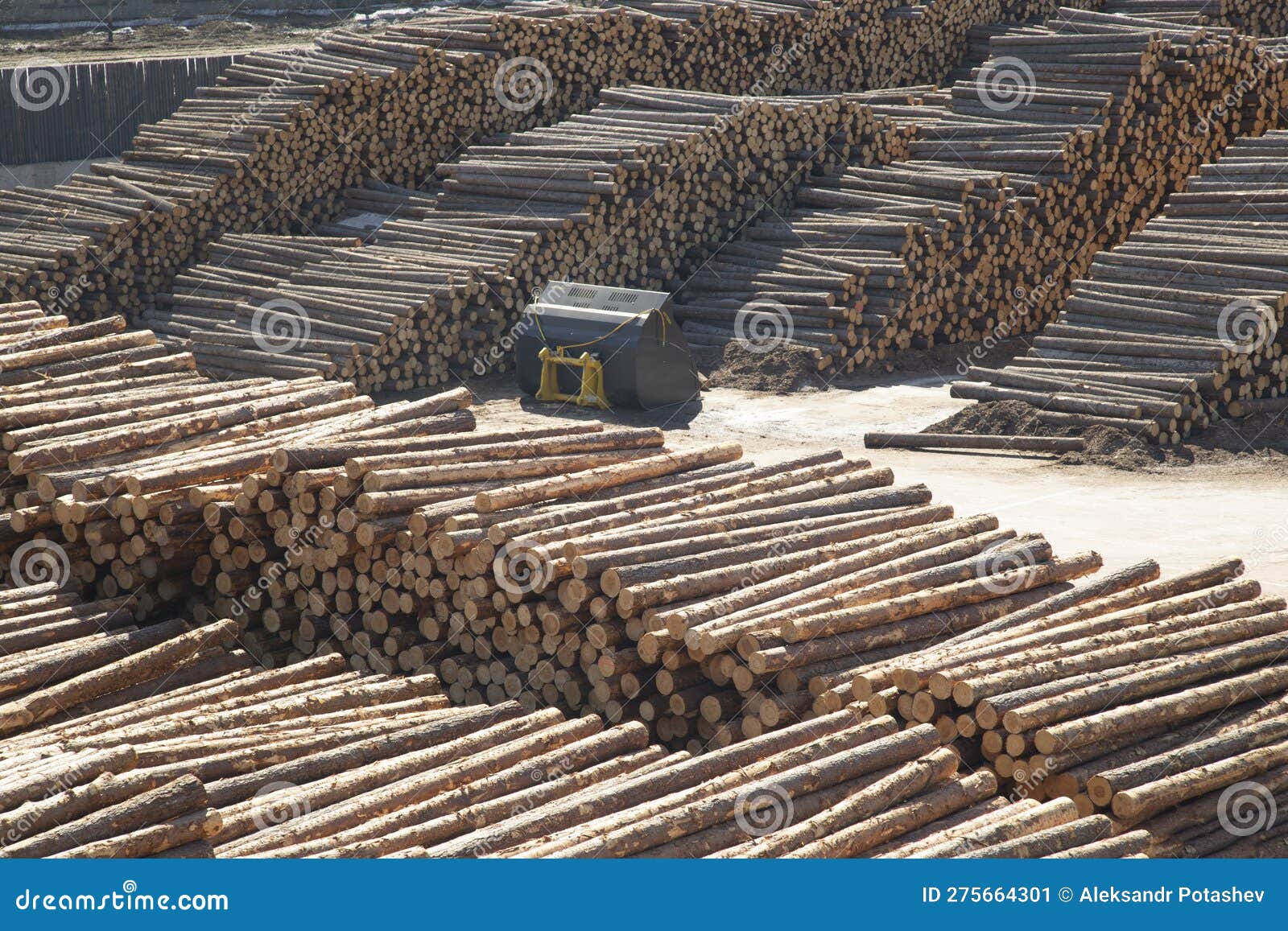 Sawing Logs into Boards.Timber Products Warehouse on a Specialized Site ...