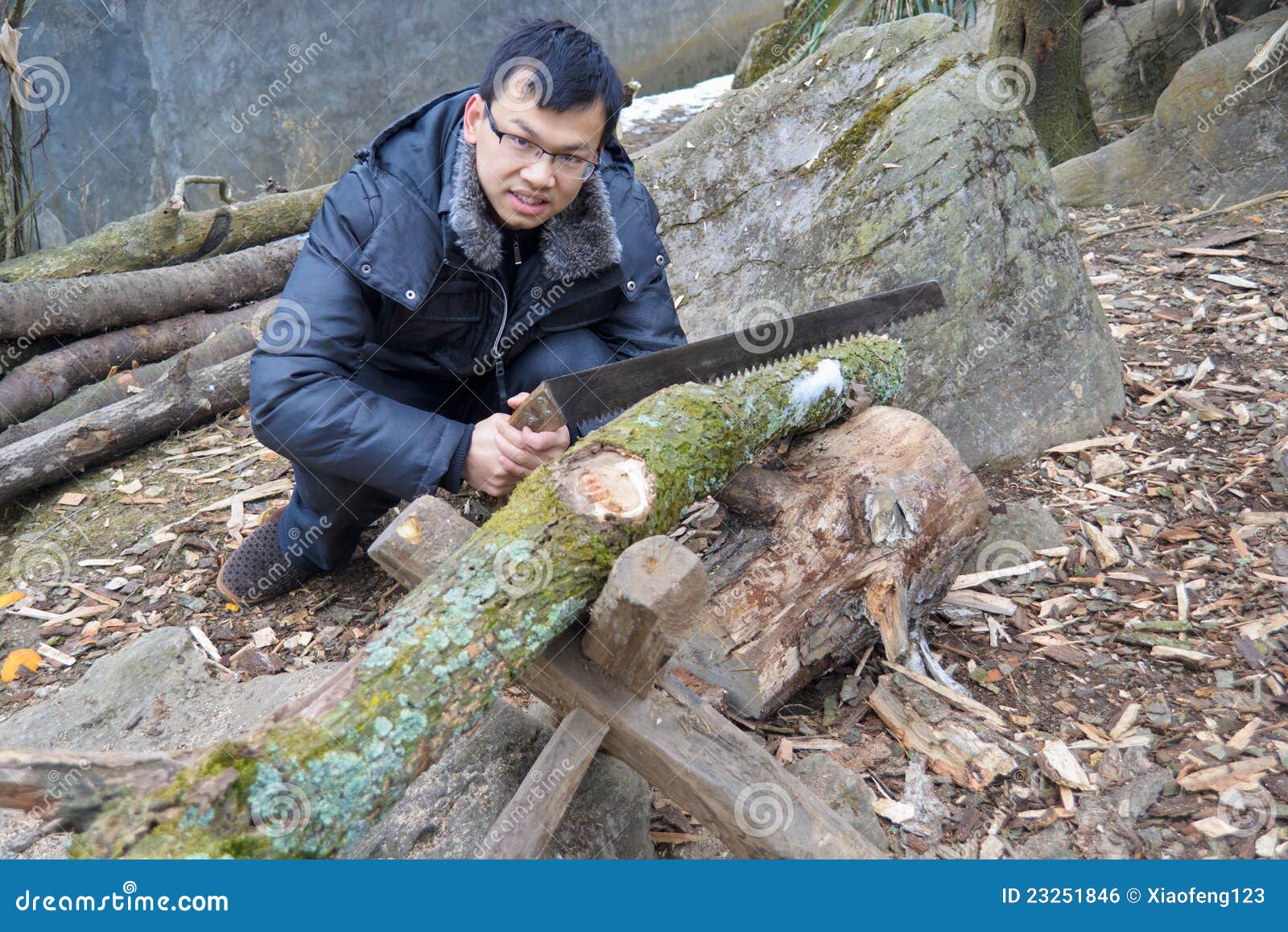 Sawing wood stock photo. Image of person, saws, working - 23251846