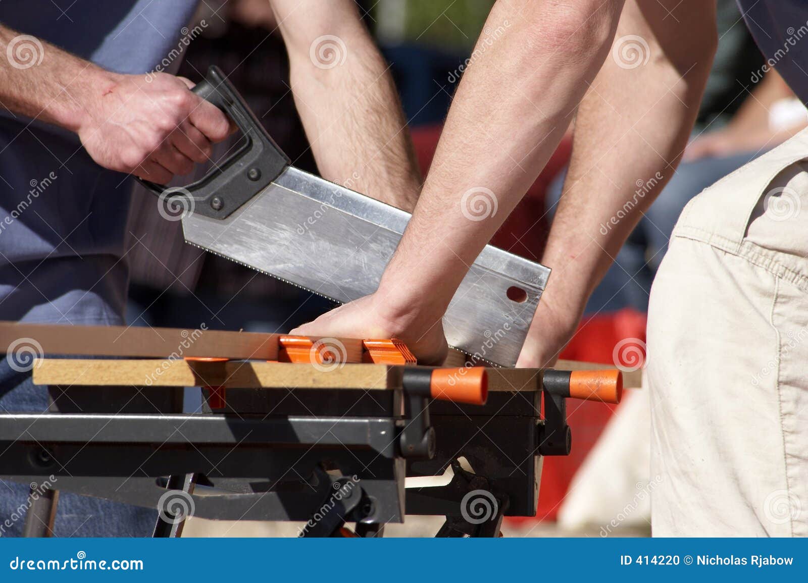 Sawing Wood stock photo. Image of tradesman, builder, holding - 414220