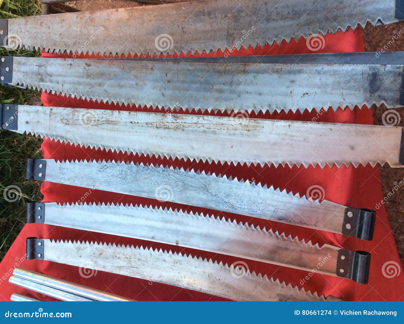 Sawing stock photo. Image of back, circle, cutting, hand - 80661274