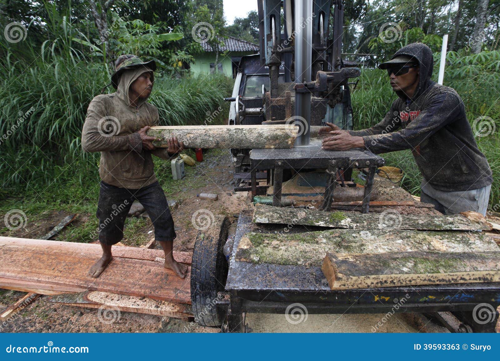 Sawing wood editorial stock photo. Image of sawing, logging - 39593363
