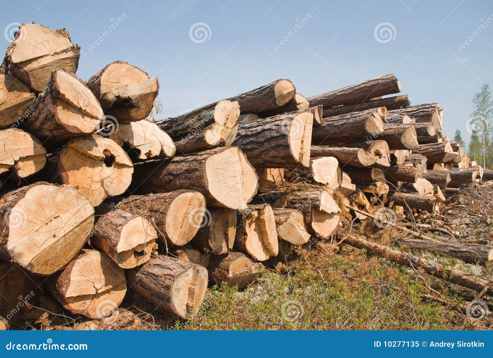 Sawmill stock image. Image of timber, summer, environment - 10277135
