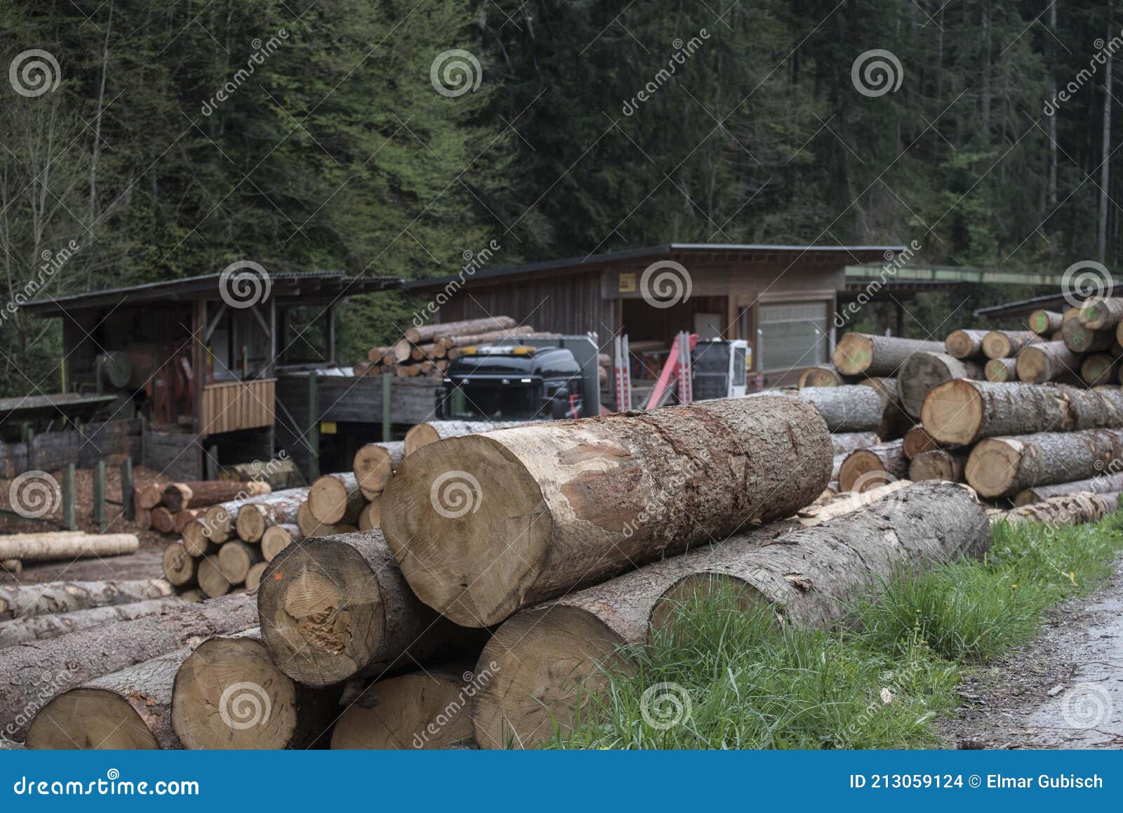 A sawmill in a forest stock photo. Image of producing - 213059124