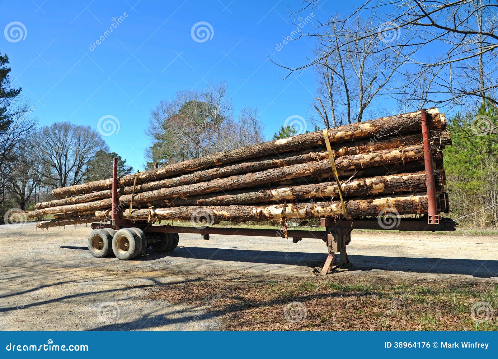 Sawmill Operation stock photo. Image of plant, forestry - 38964176