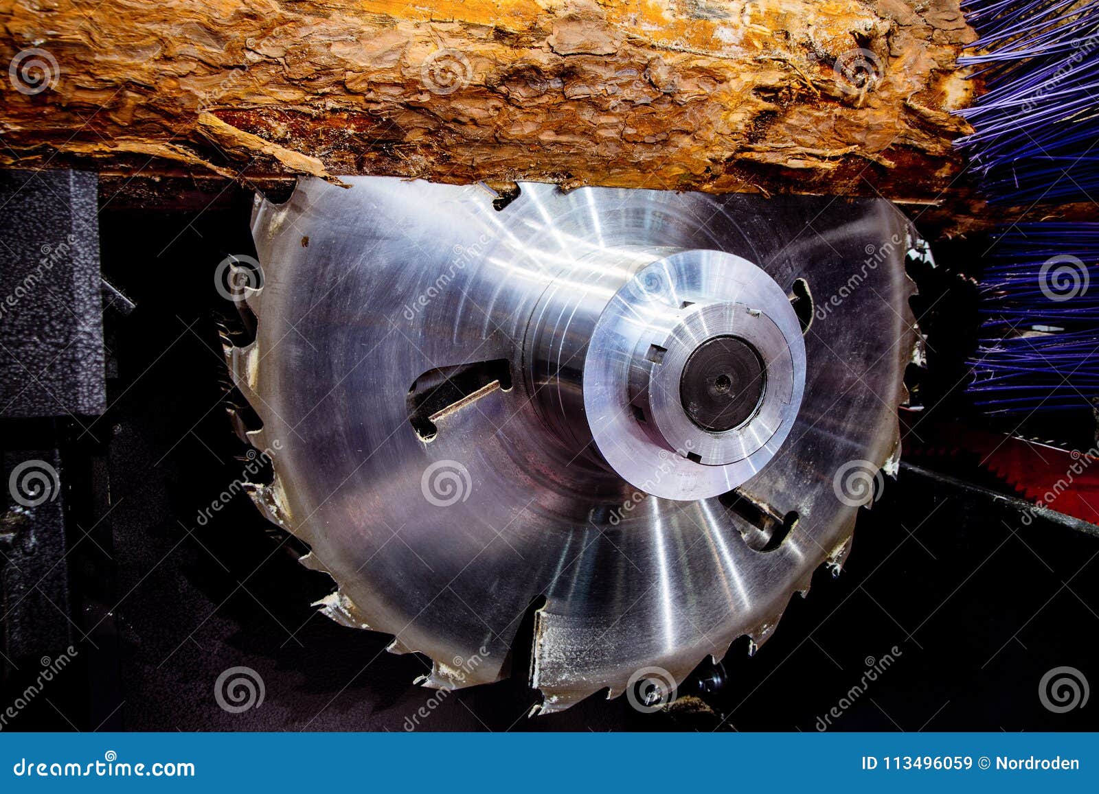 Sawmill. Powerful Circular Saws Saw a Log Stock Image - Image of mill ... Sawmill. Powerful Circular Saws Saw a Log Stock Image - Image of mill ...