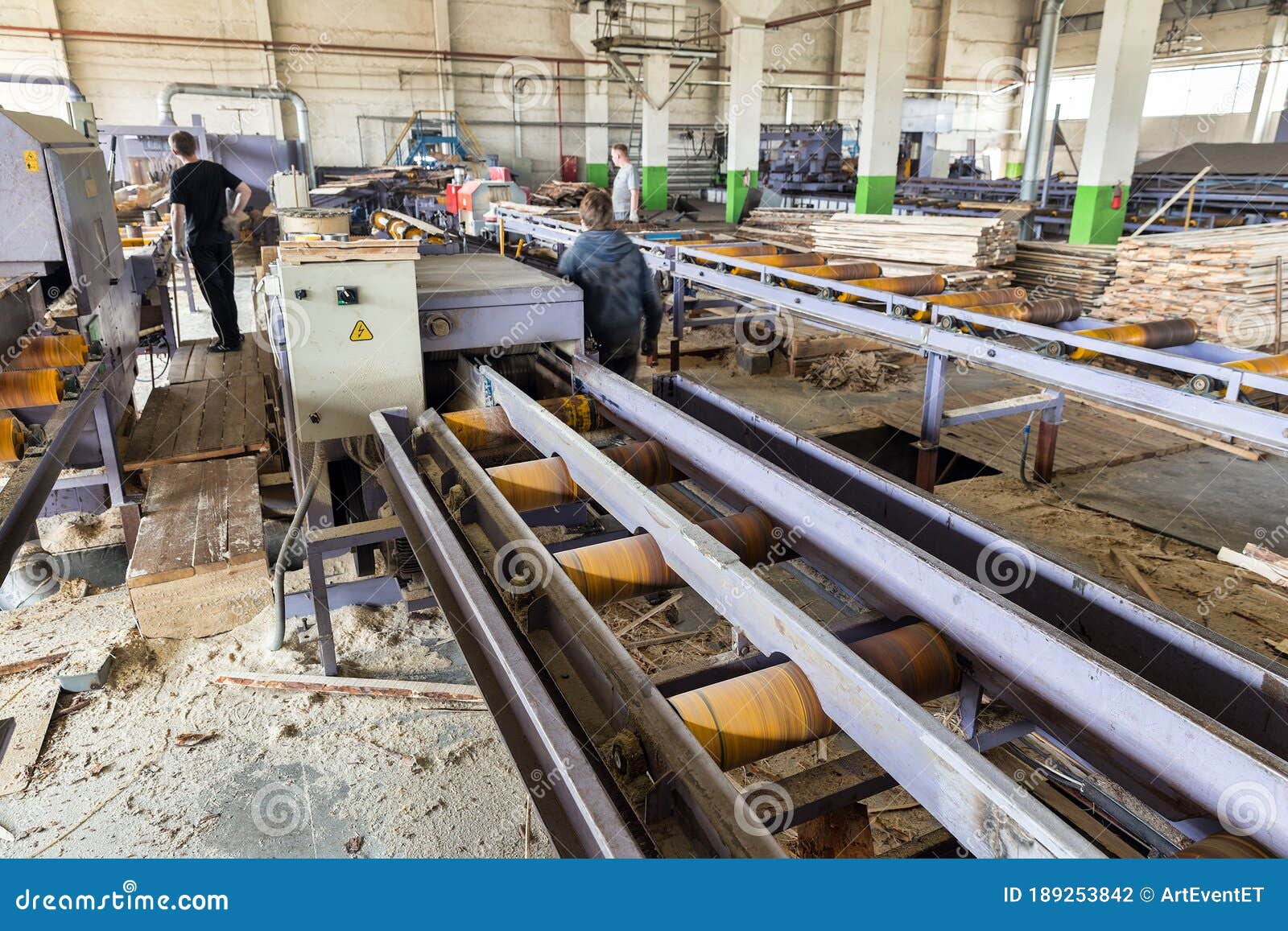 Sawmill. Process Of Machining Logs In Sawmill Machine Saws The Tree ...