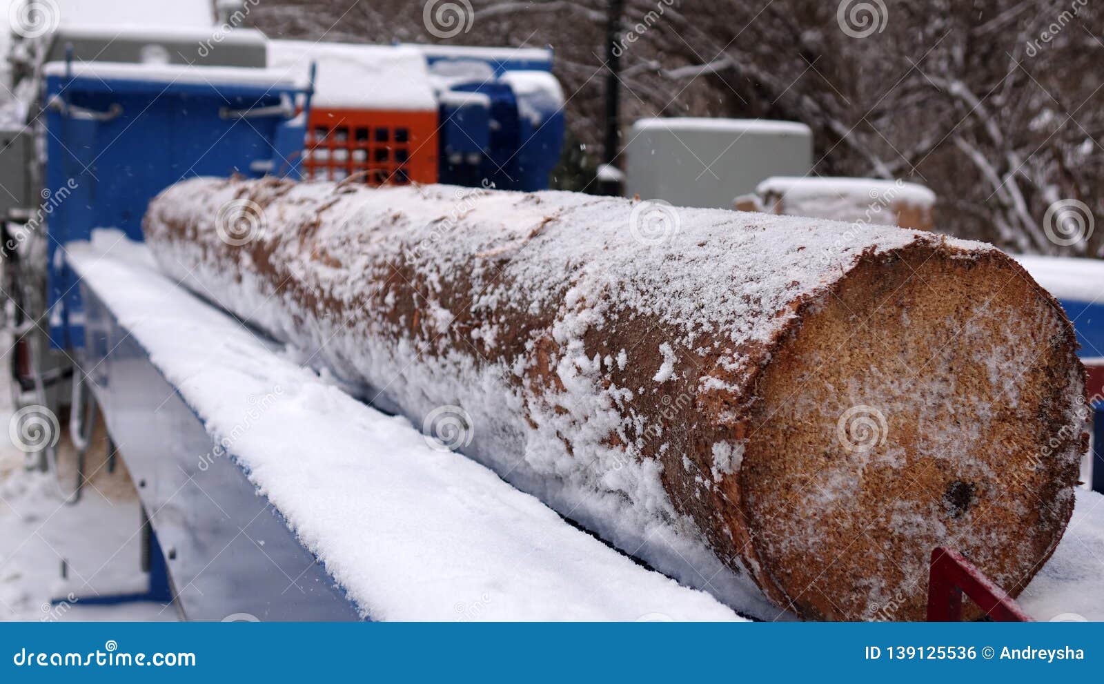 Sawmill. the Process of Processing Logs in the Sawmill Equipment . Wood ...