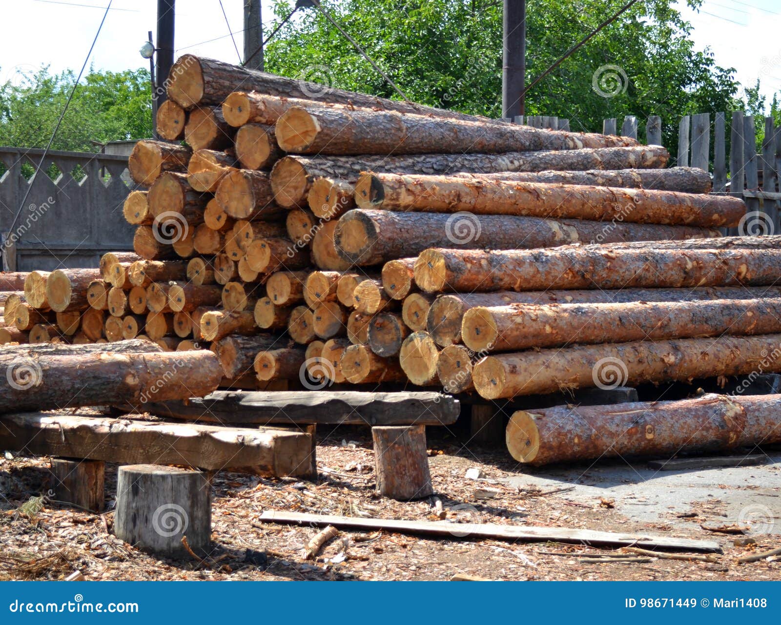 Sawmill. Warehouse Timber Stack of Logs of Pine for Sawing Beams Boards ...