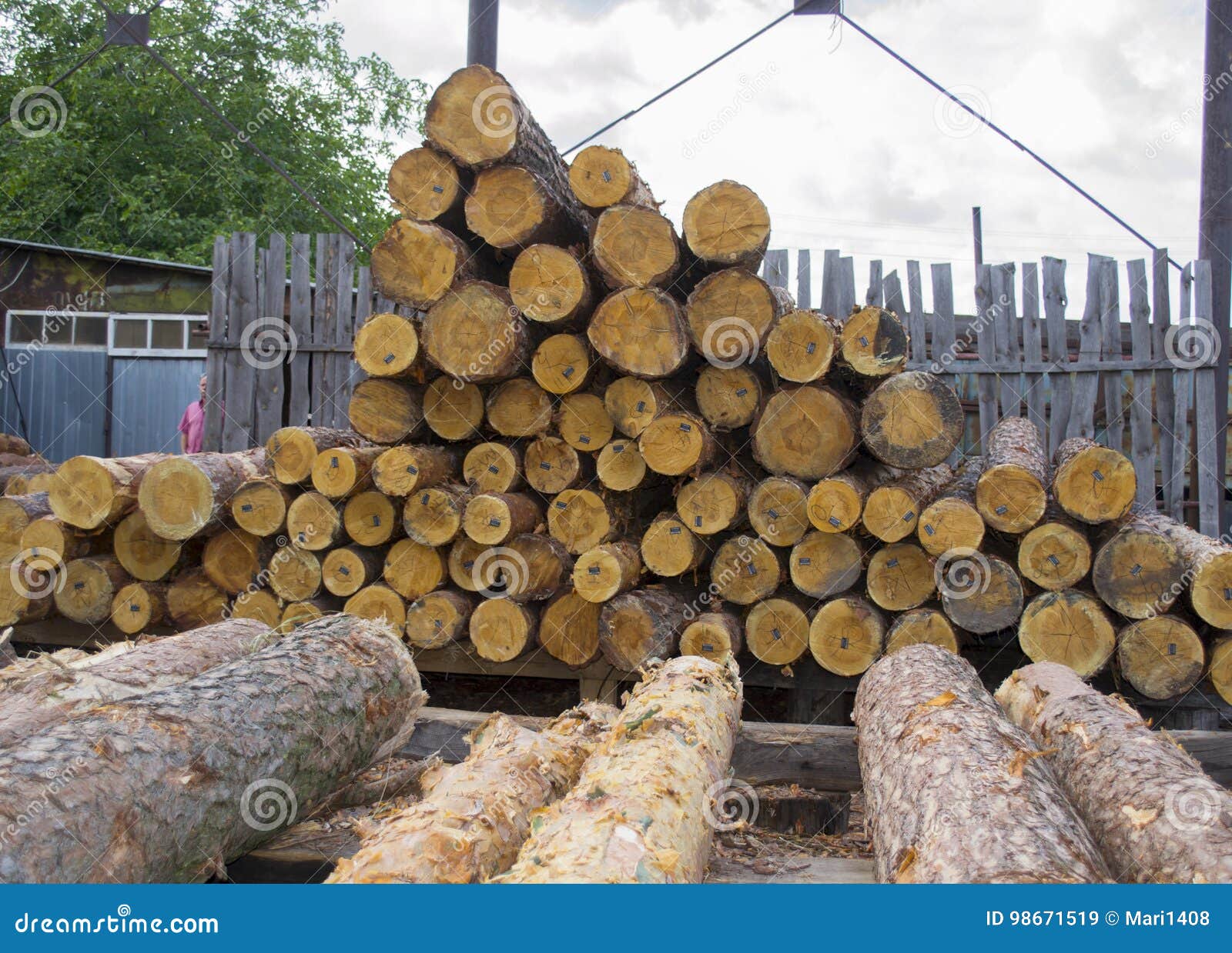 Sawmill. Warehouse Timber Stack of Logs of Pine for Sawing Beams Boards ...