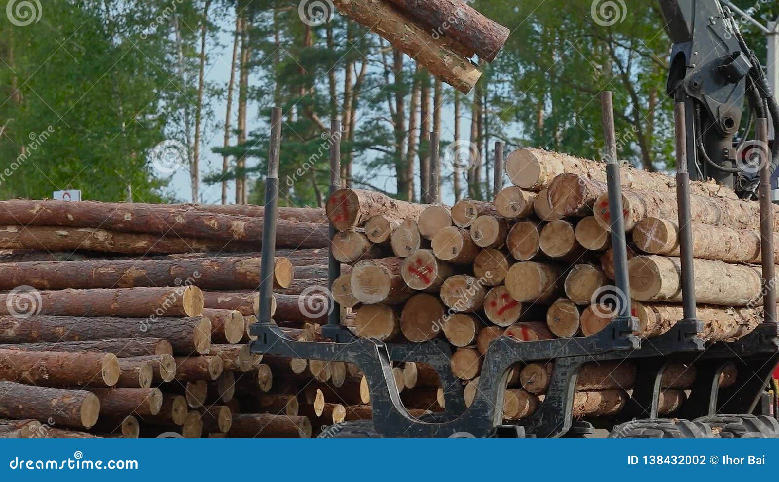 Sawmill Workflow, Log Unloading, Log Truck Stock Footage - Video of ...