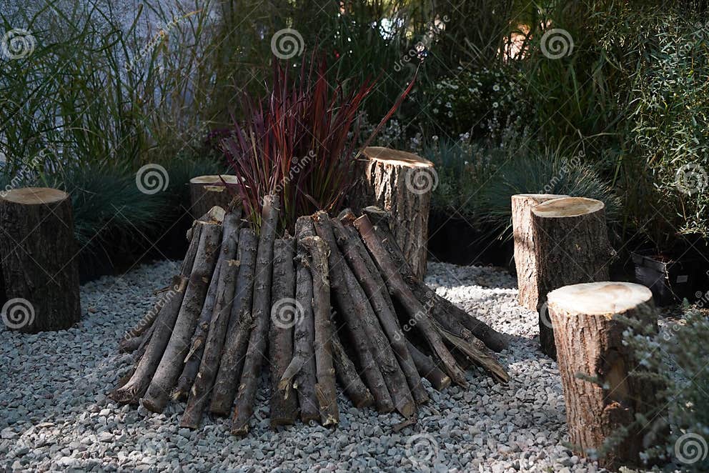 Sawn Decorative Stump for Sitting Around the Fire Stock Photo - Image ...