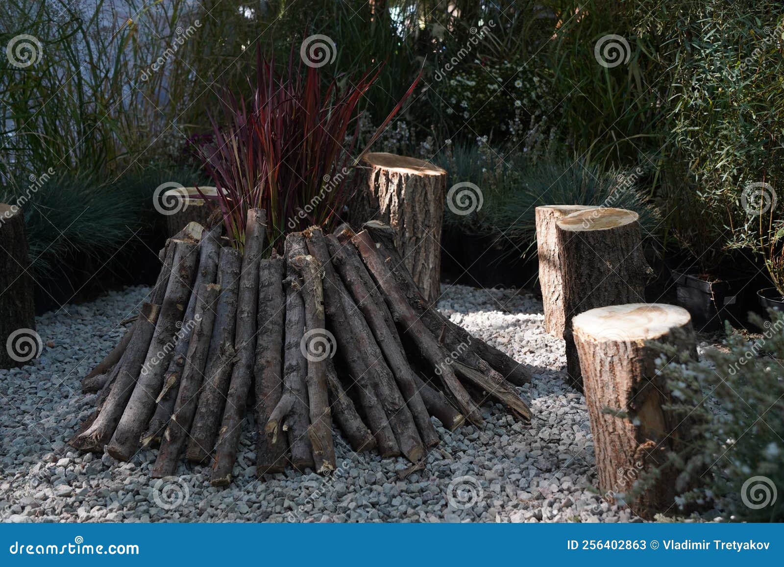 Sawn Decorative Stump for Sitting Around the Fire Stock Image - Image ...