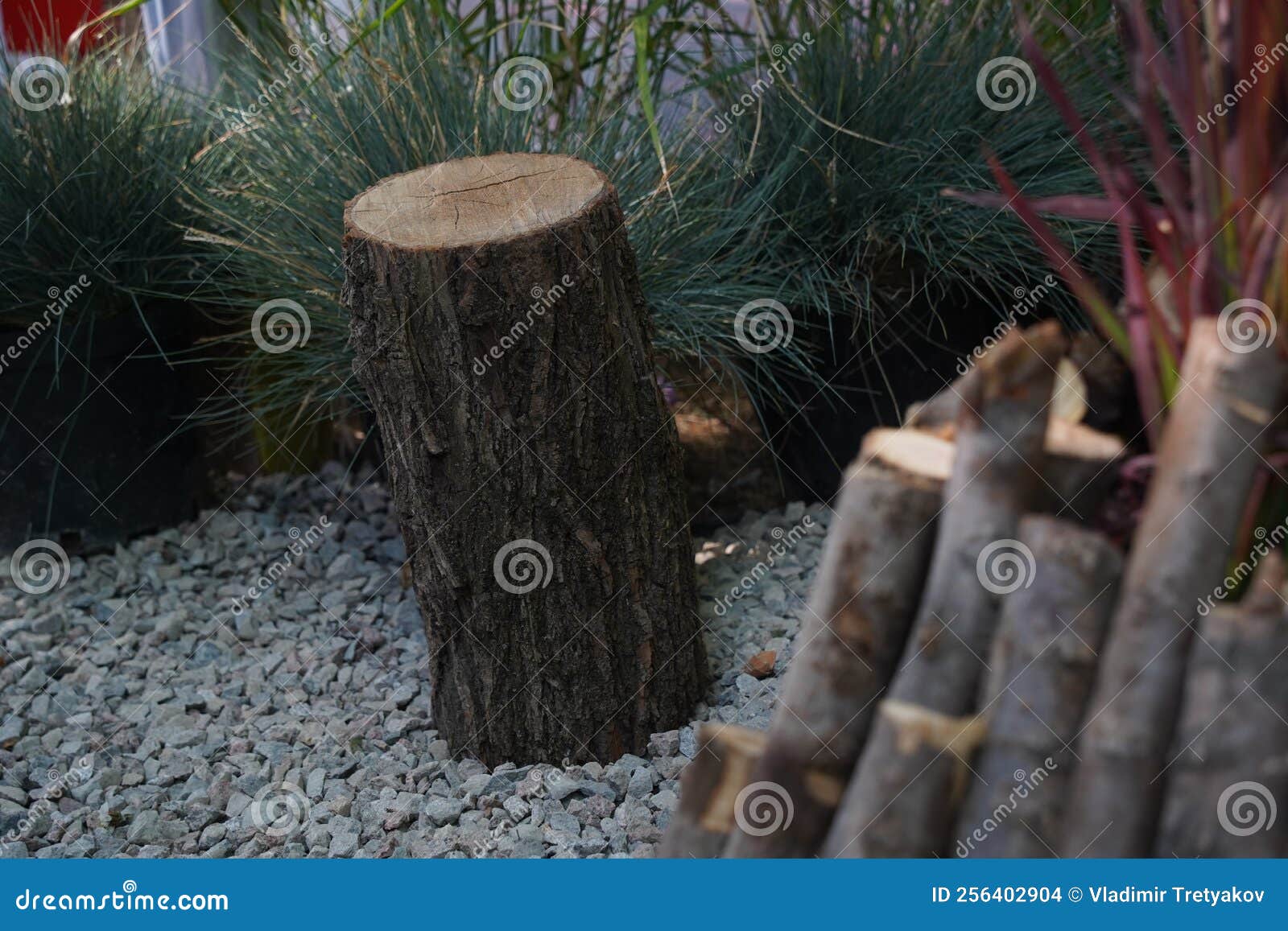 Sawn Decorative Stump for Sitting Around the Fire Stock Photo - Image ...