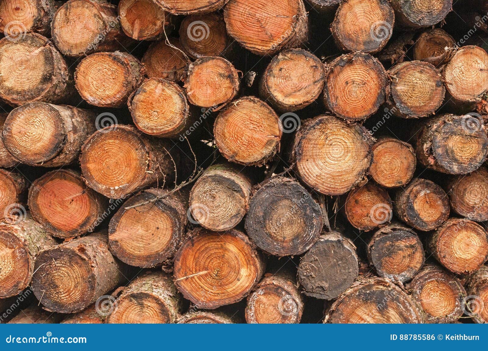5,672 Sawn Log Background Photos - Free & Royalty-Free Stock Photos ...
