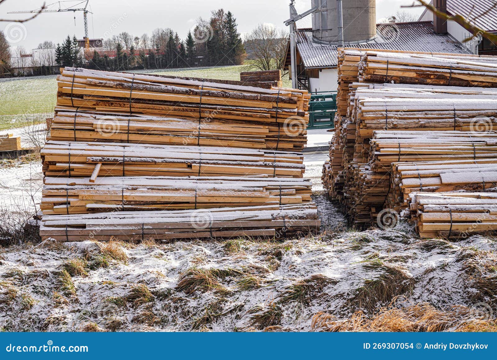 Sawn Logs at the Sawmill for Further Cutting into Timber Stock Photo ...