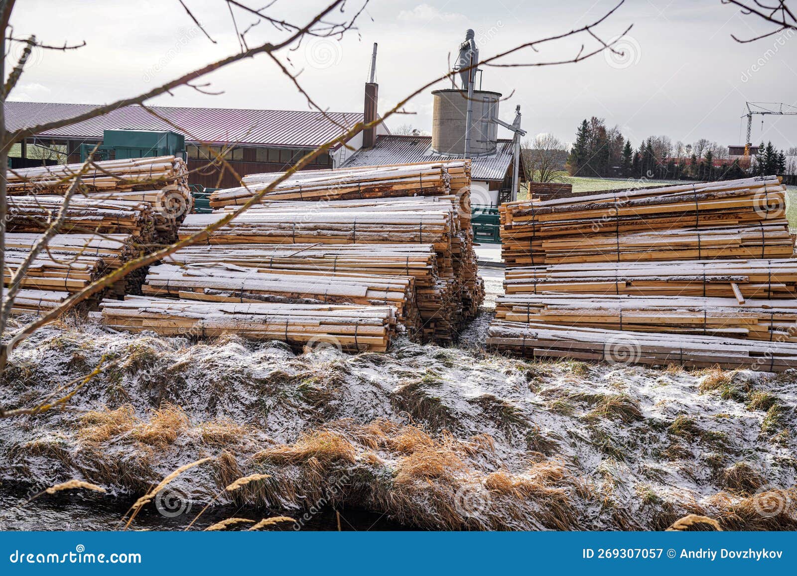 Sawn Logs at the Sawmill for Further Cutting into Timber Stock Image ...