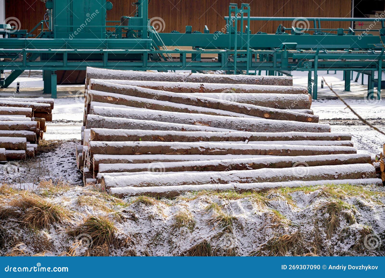 Sawn Logs at the Sawmill for Further Cutting into Timber Stock Photo ...
