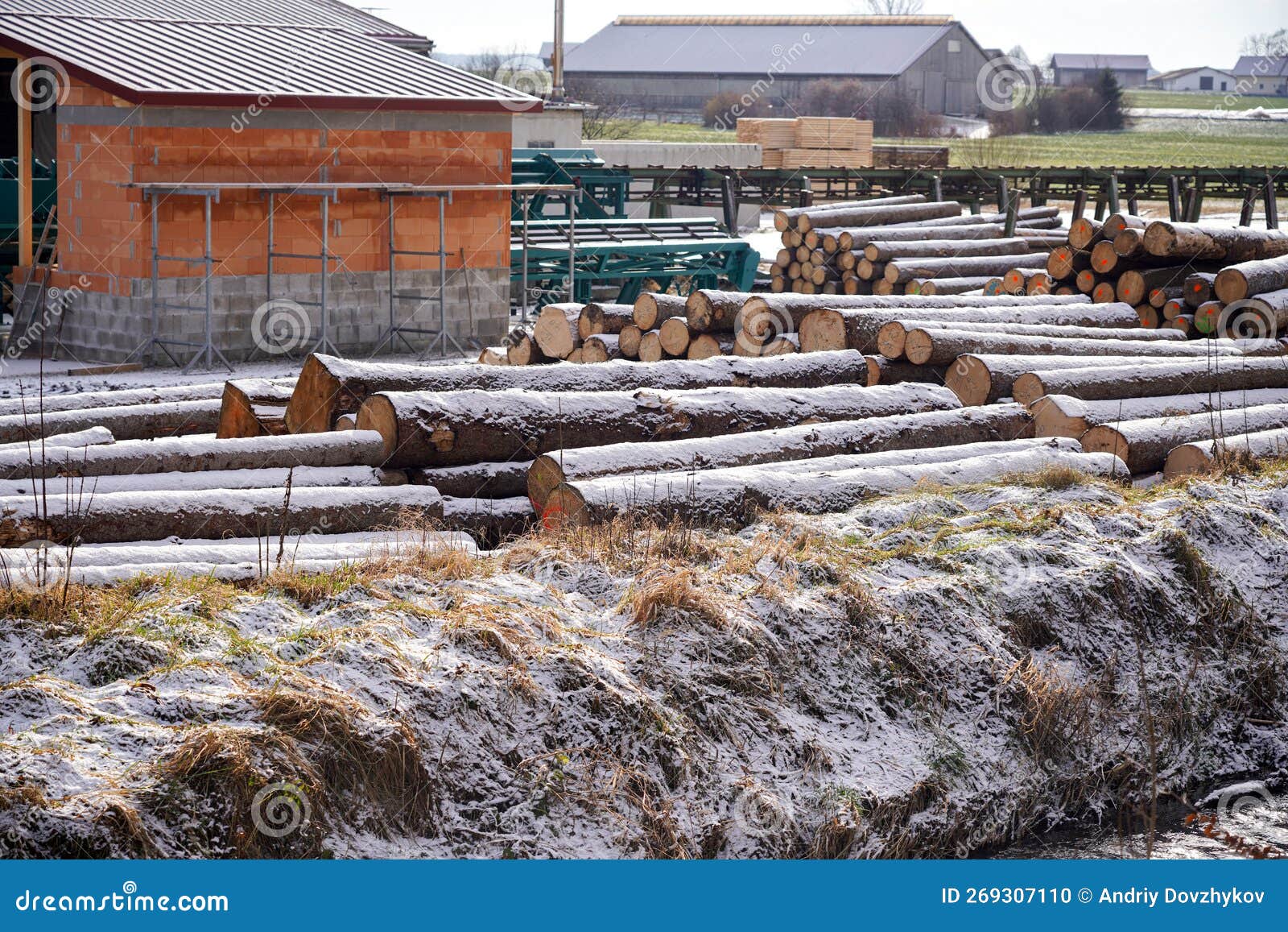 Sawn Logs at the Sawmill for Further Cutting into Timber Stock Photo ...