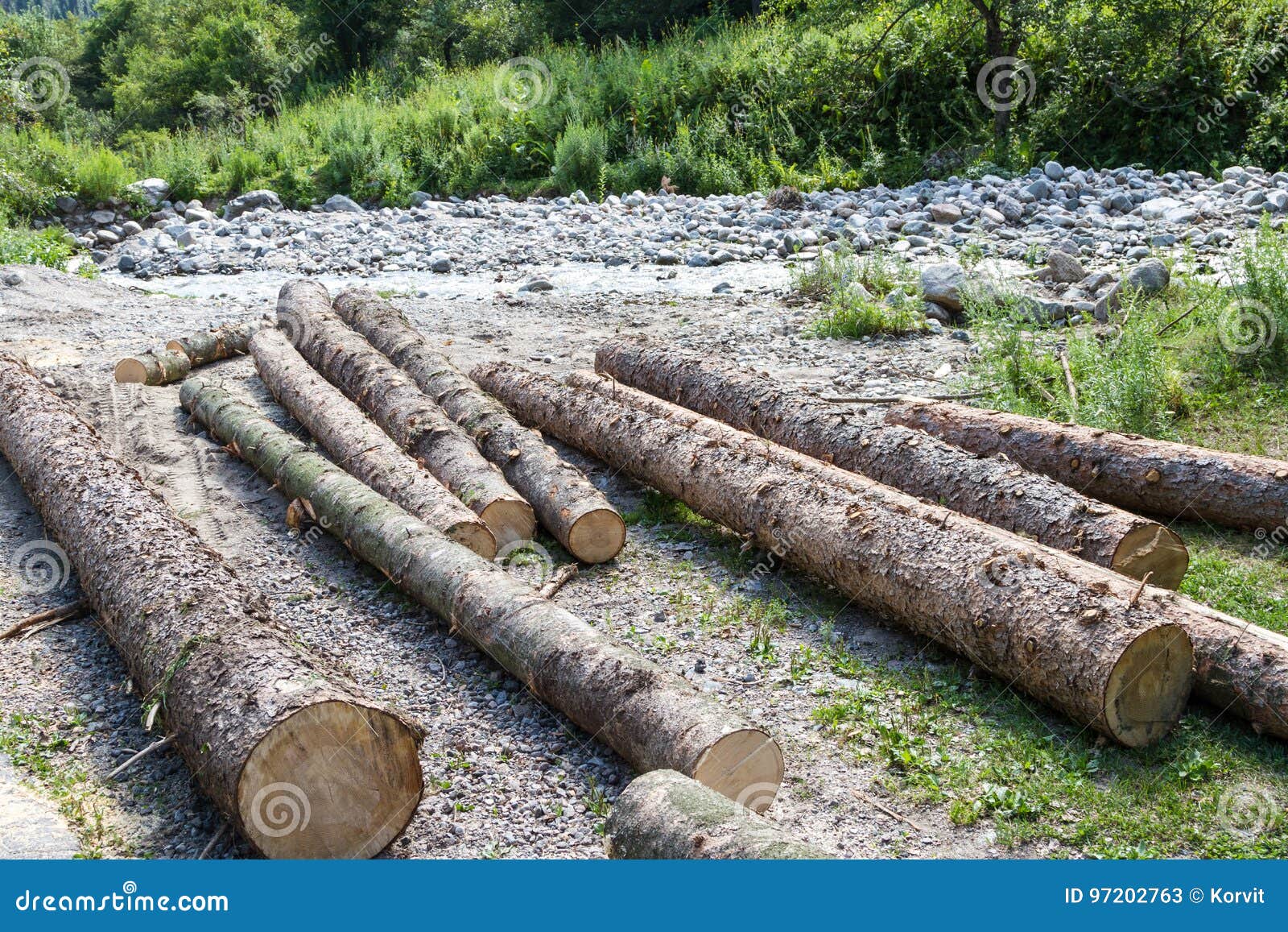 Sawn logs of spruce stock image. Image of pile, grass - 97202763