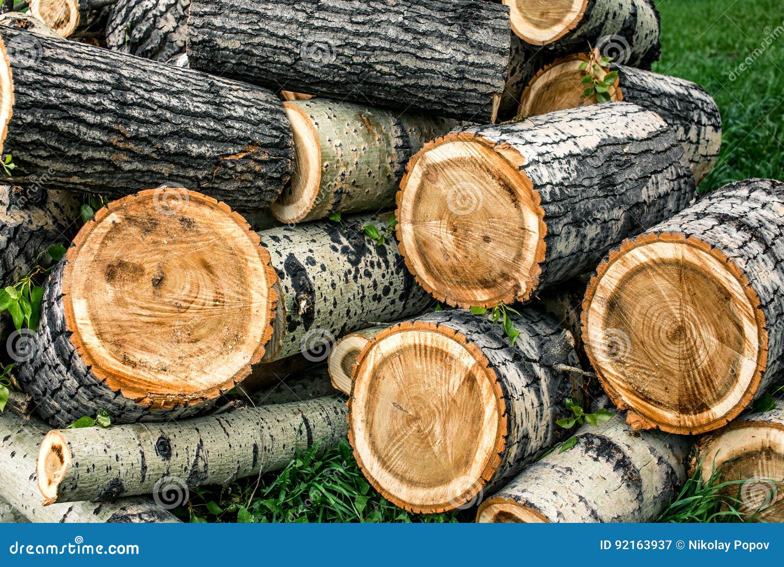 Sawn logs. stock image. Image of firewood, occupation - 92163937