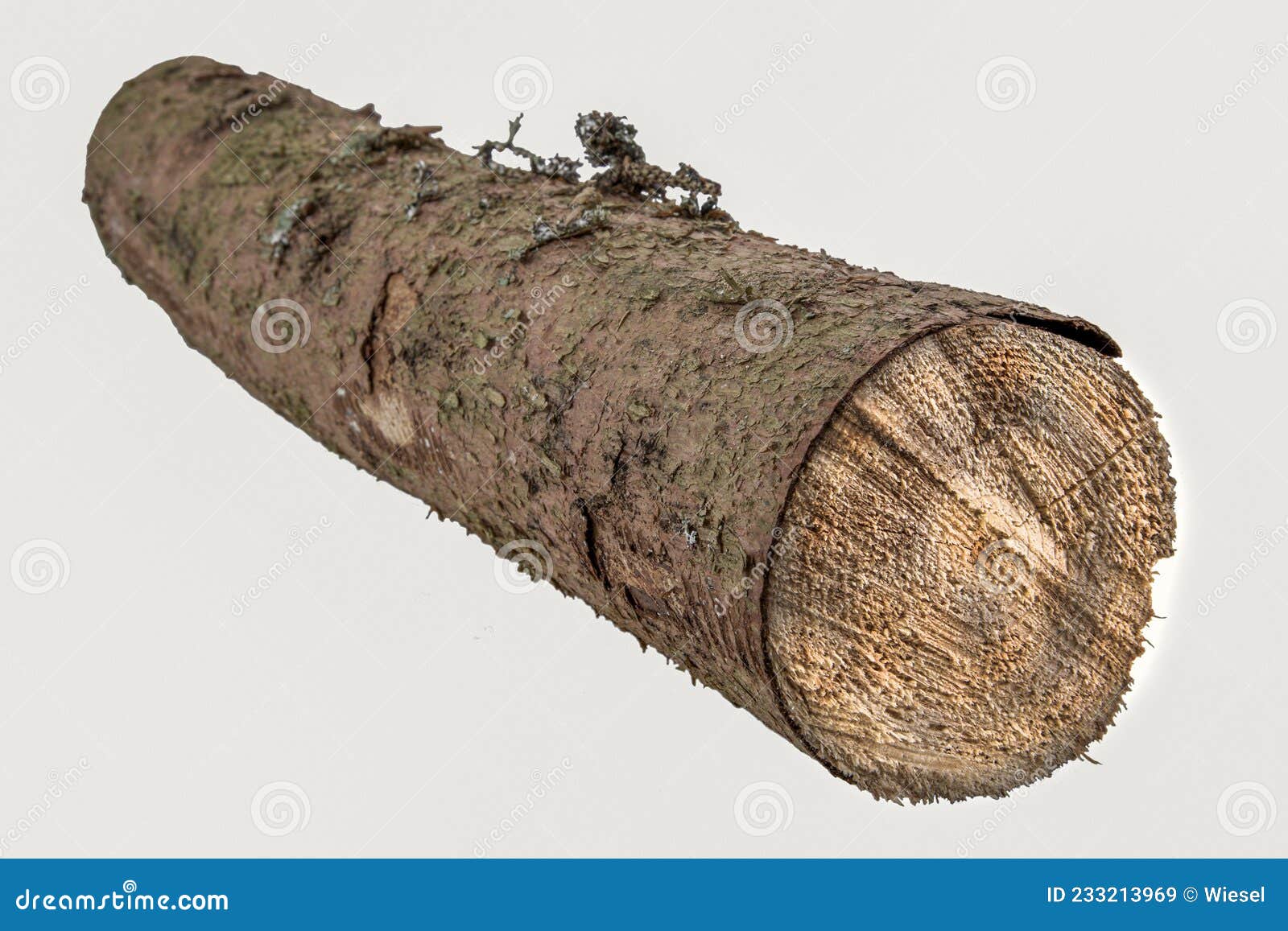 Sawn Off Piece of Wood on White Background Stock Image - Image of wood ...