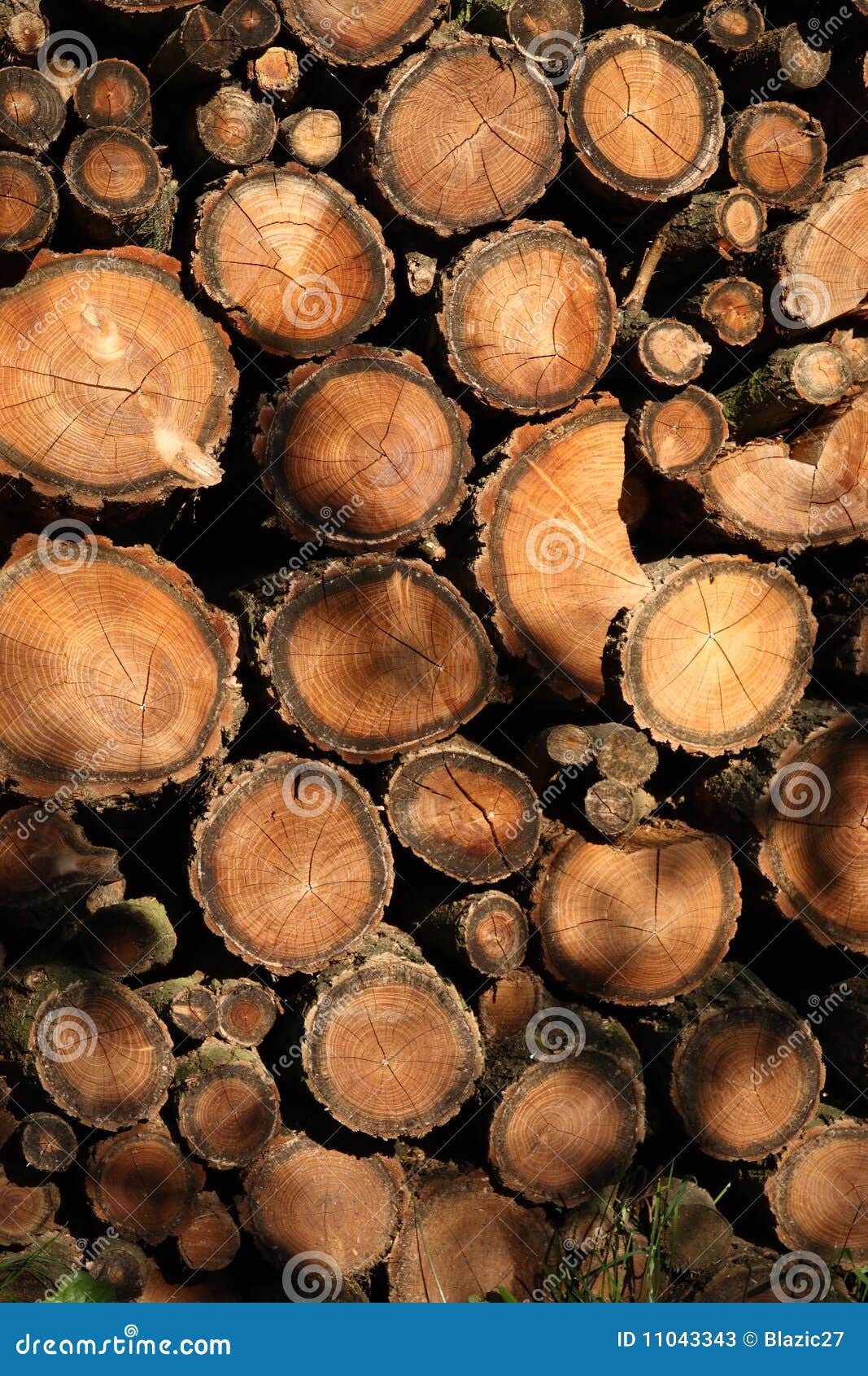 Sawn Timber Surface Texture Royalty-Free Stock Photography ...