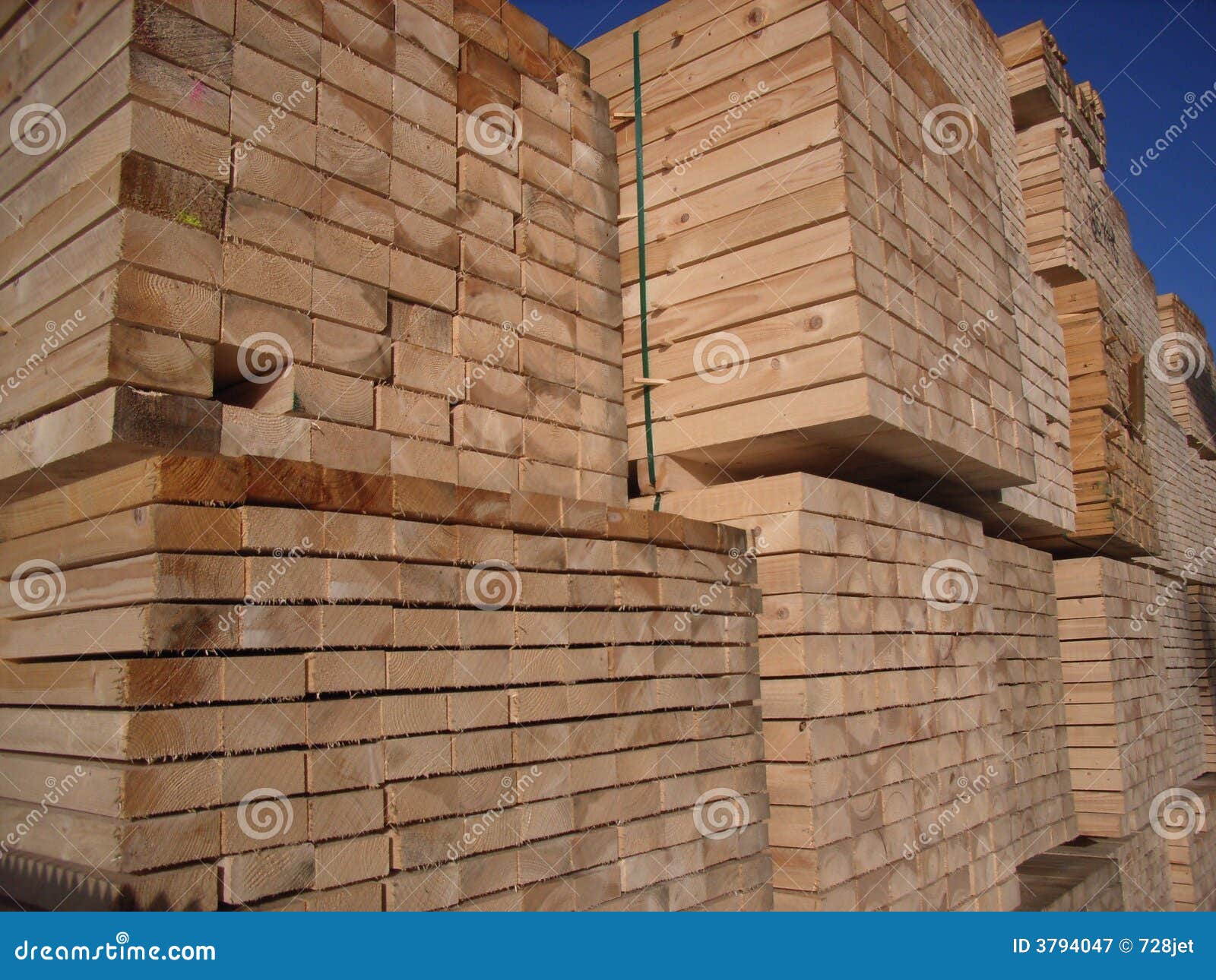 Sawn Timber Surface Texture Royalty-Free Stock Photography ...