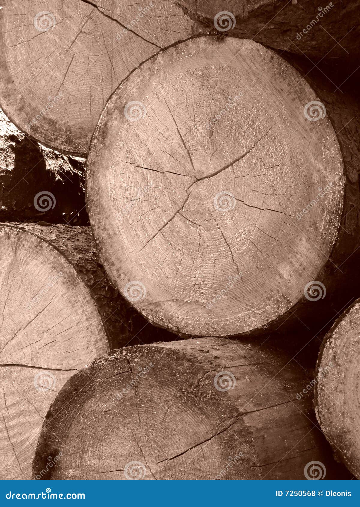 Sawn timber stock photo. Image of logs, crack, lumber - 7250568