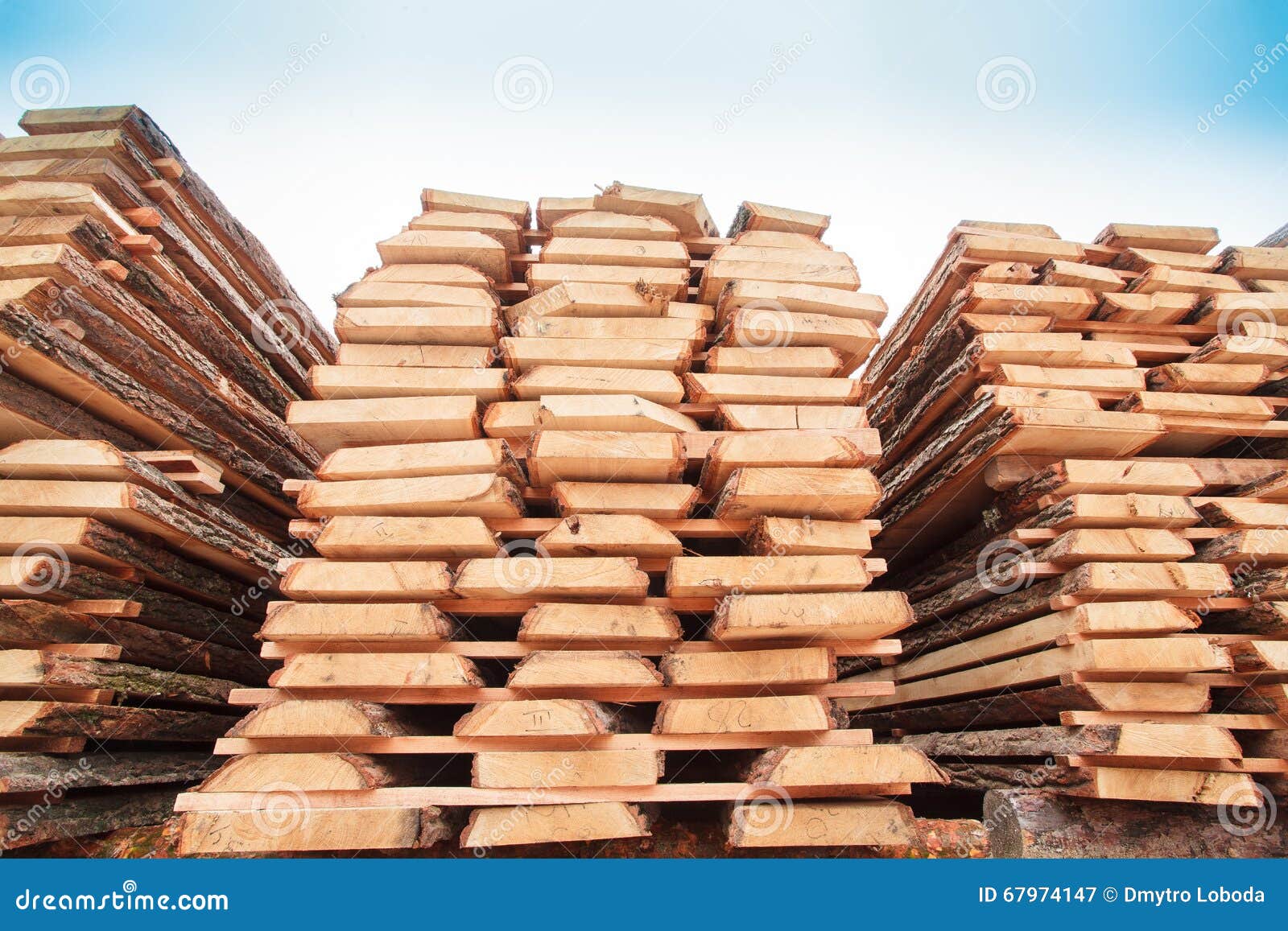 Sawn Timber Surface Texture Royalty-Free Stock Photography ...