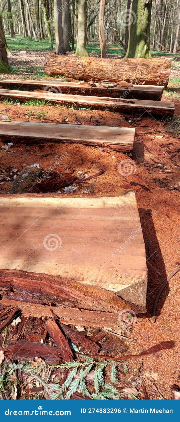 Timber Bar Setting On The Sand Royalty-Free Stock Photography ...